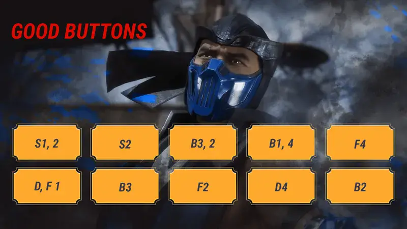 Everything You Need To Know About Sub-Zero | DashFight