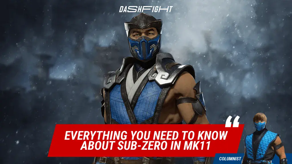 Everything You Need To Know About Sub-Zero | DashFight