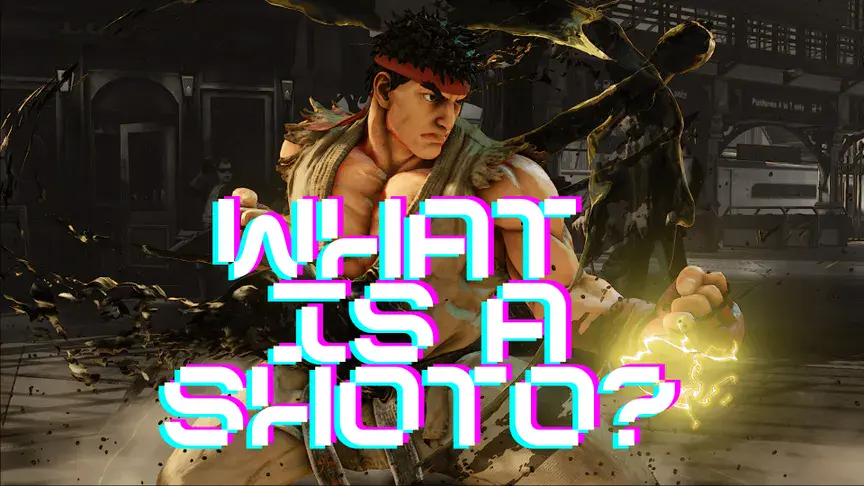 What Makes a Shoto Character? | DashFight