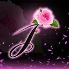 RoseJ - Player Profile | DashFight