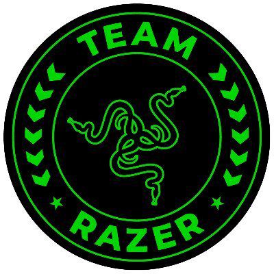 Team Razer - Team profile - DashFight