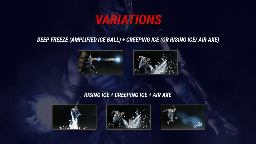 Everything You Need To Know About Sub-Zero | DashFight