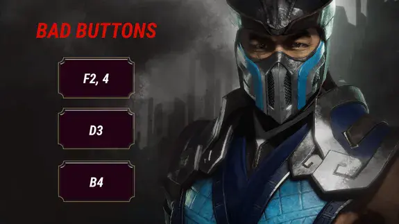 Everything You Need To Know About Sub-Zero | DashFight